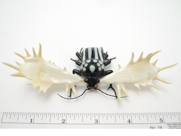 Wesley Fleming , artist - artwork, 'Moose Beetle'