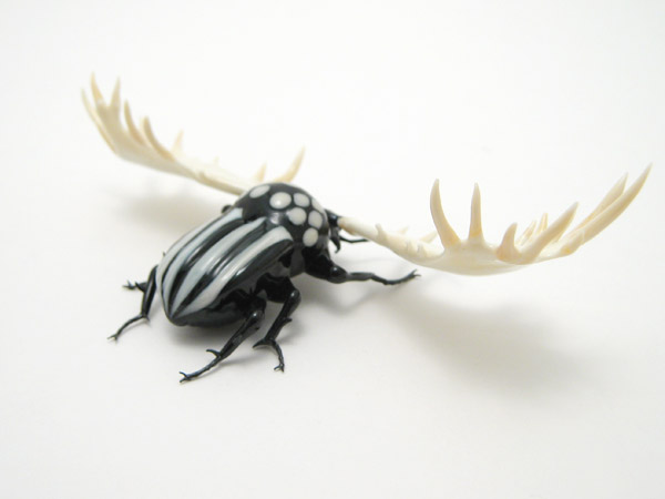 Wesley Fleming , artist - artwork, 'Moose Beetle'