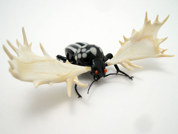 Wesley Fleming , artist - artwork, 'Moose Beetle'