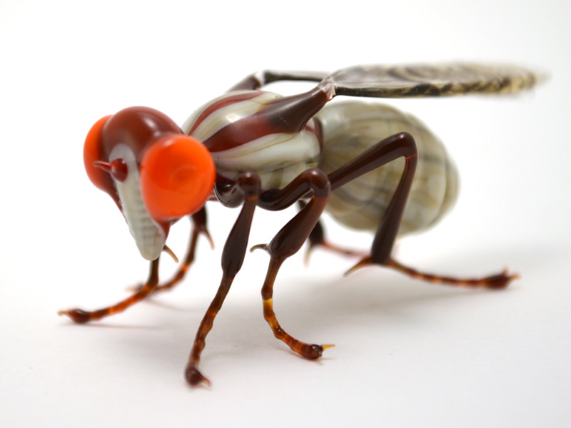 Wesley Fleming , artist - artwork, 'Rabbit Bot Fly'