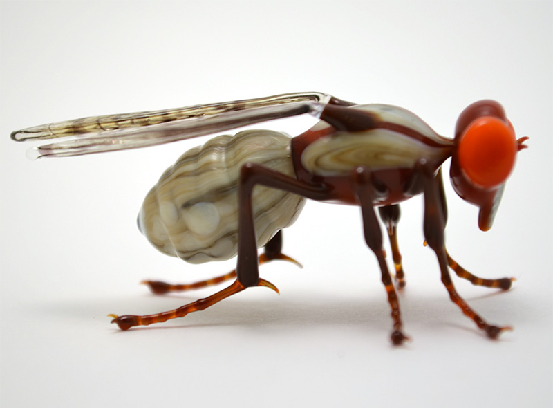 Wesley Fleming , artist - artwork, 'Rabbit Bot Fly'