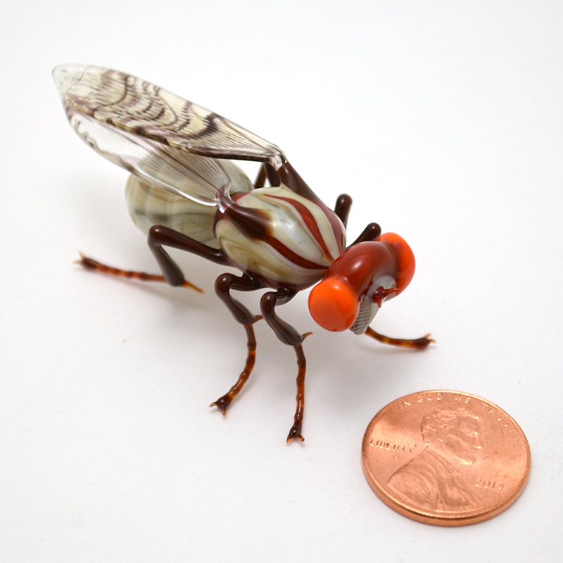 Wesley Fleming , artist - artwork, 'Rabbit Bot Fly'